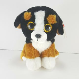 Ty Beanie Baby 6 " Roscoe The Bernese Mountain Dog Stuffed Animal Plush ...